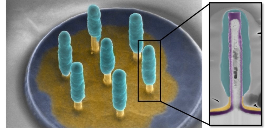 Des nanoélectrodes 3D pour mieux comprendre l'activité électrique des ...